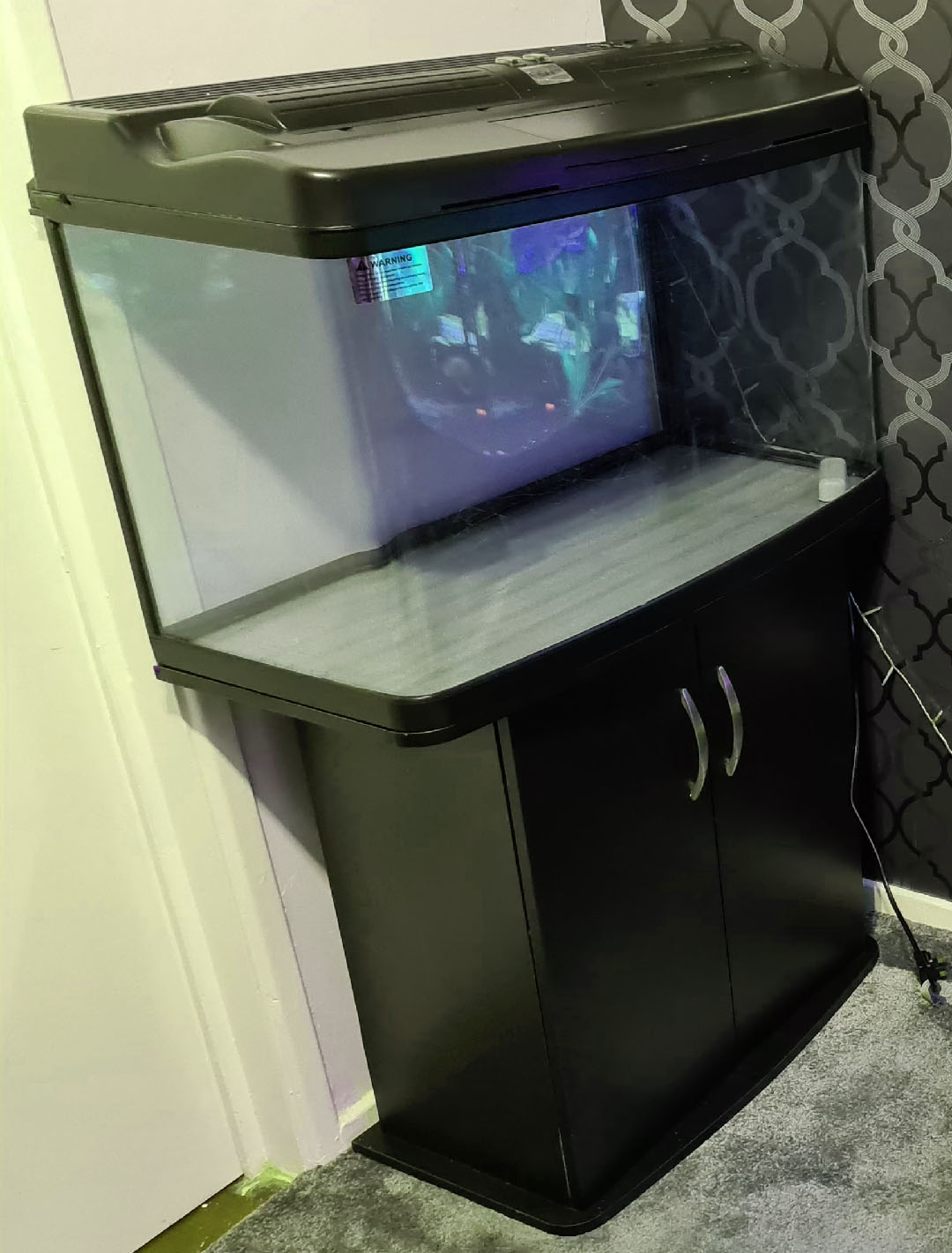 Interpet FISH POD Tropical Aquarium Fish Tank